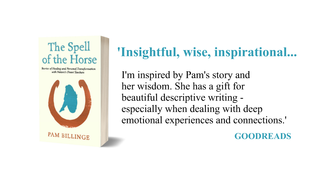 Review of the Week: The Spell of the Horse by Pam Billinge - Blackbird ...