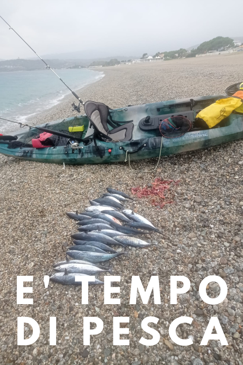 Traina costiera e tonnetti: i segreti per diventare un vero esperto di ...