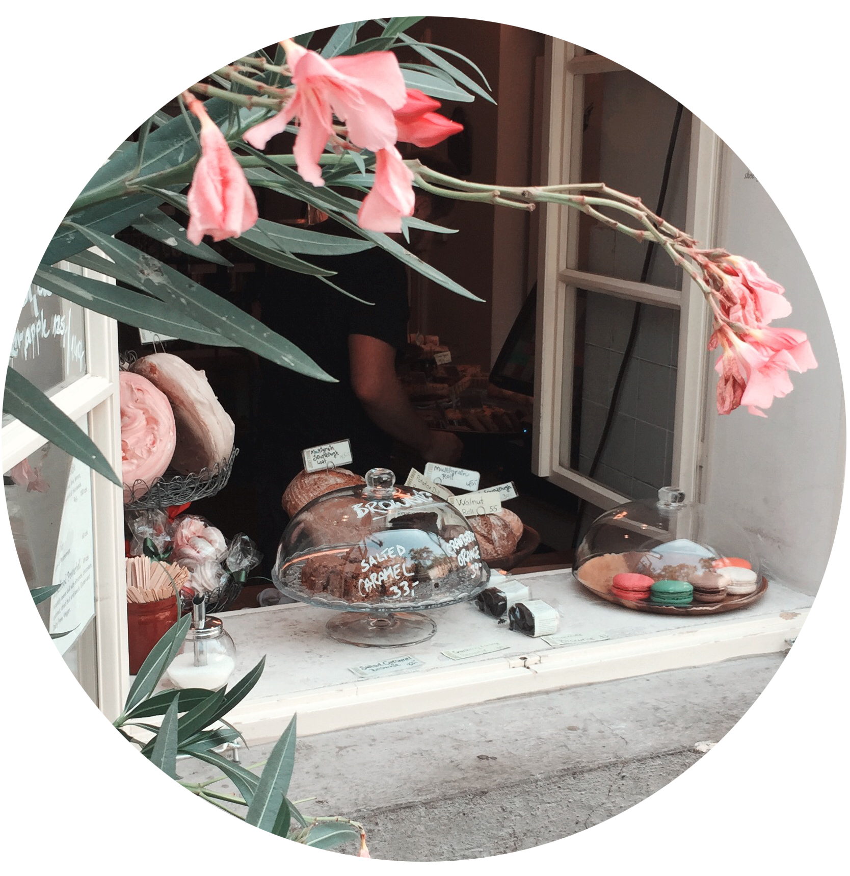 Nobody really cares - mimiraschs Webseite!