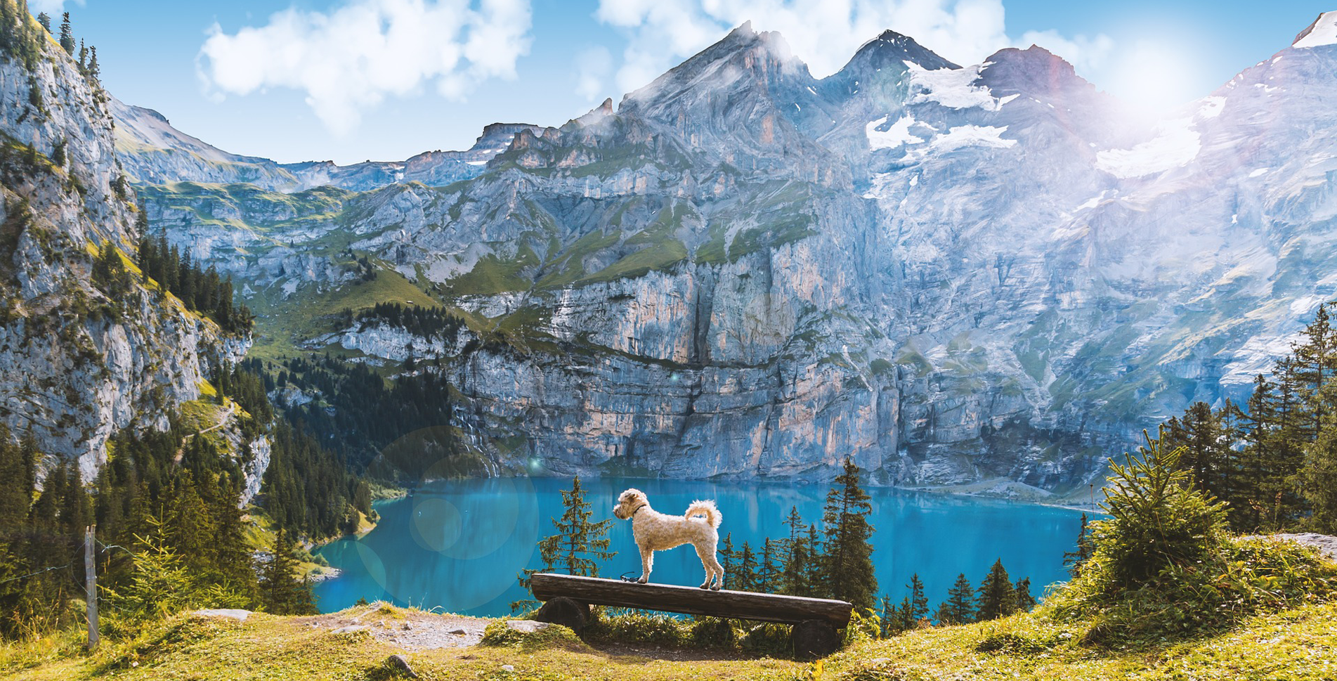 Things to do Interlaken: Discover the most beautiful Swiss Alpine Lakes ...