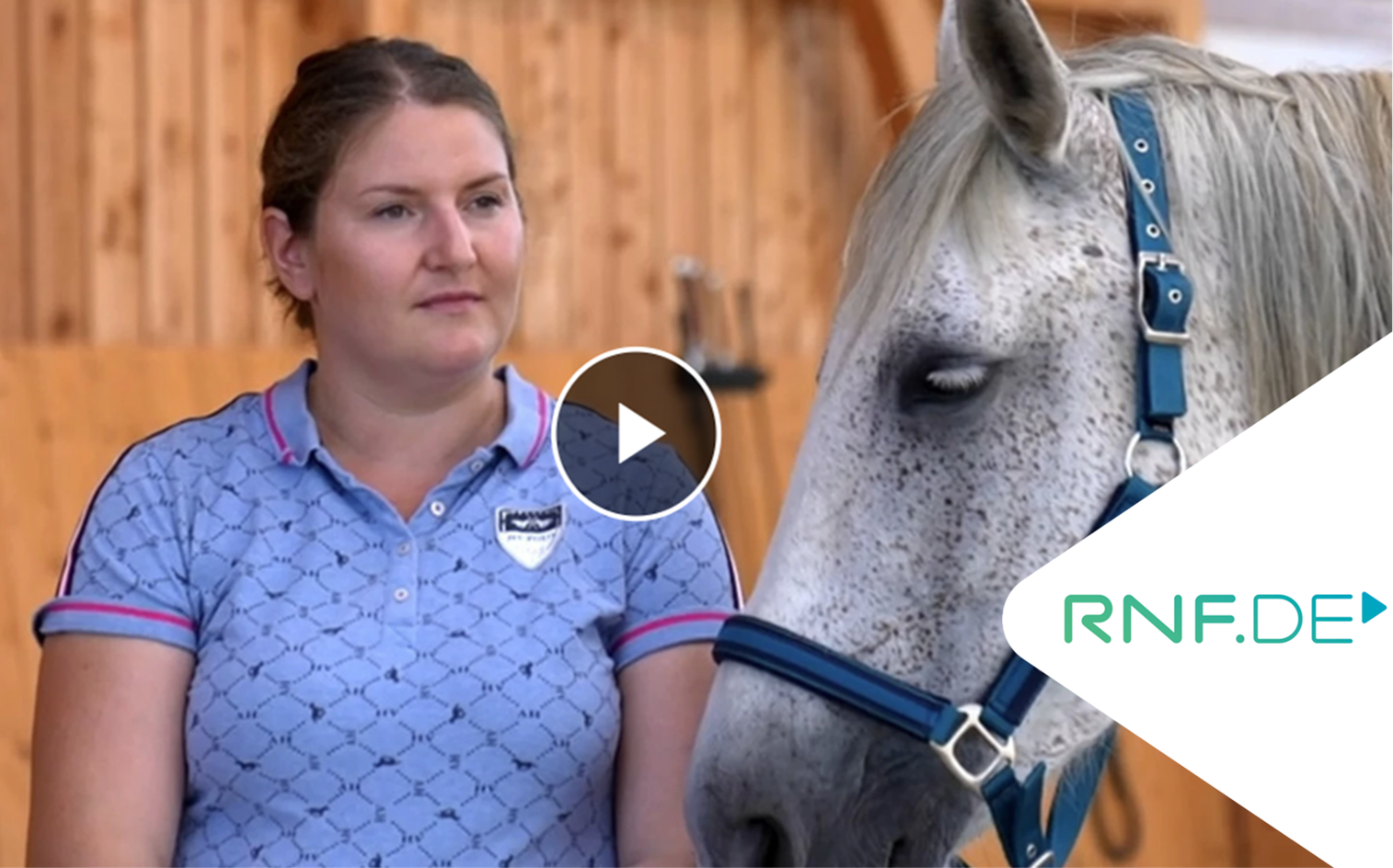 TV und News - horsynergy