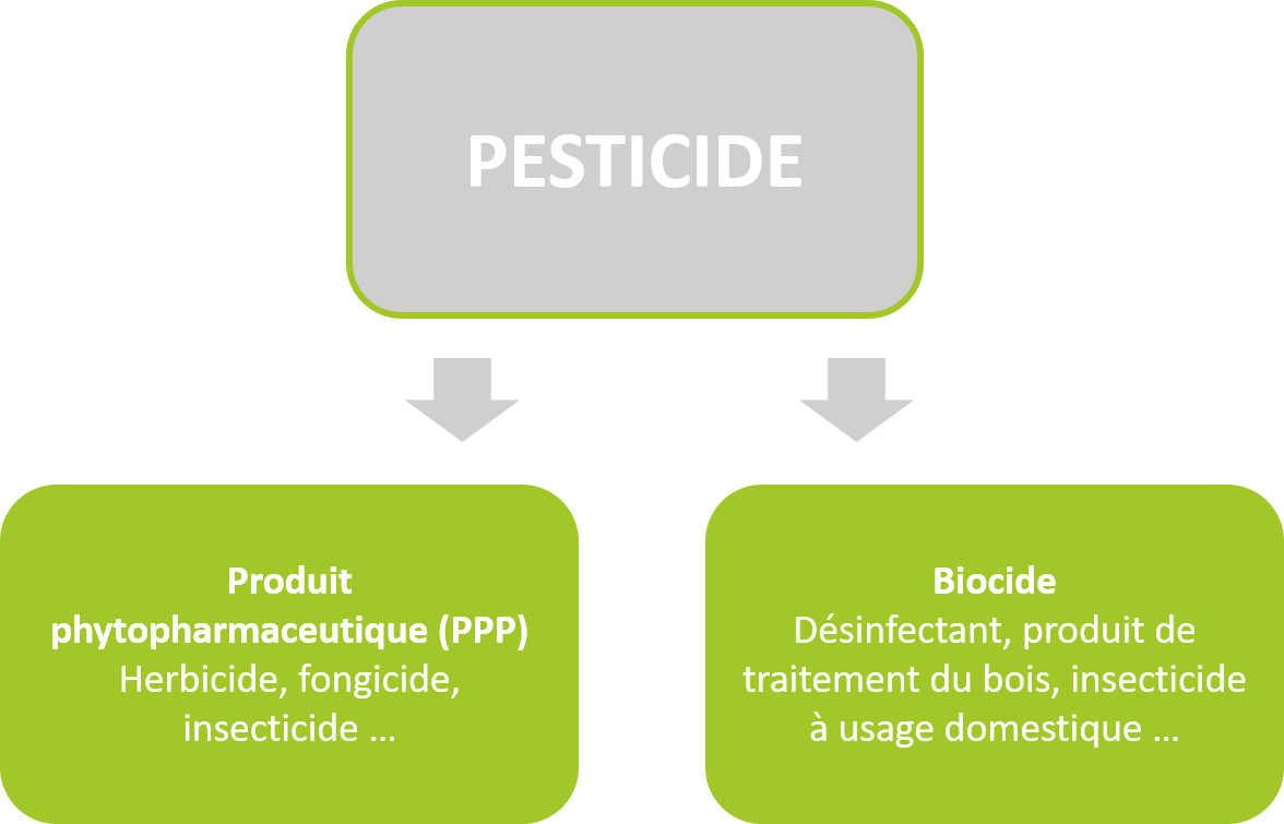 Les pesticides et les biocides - Site de createurdemursvegetaux
