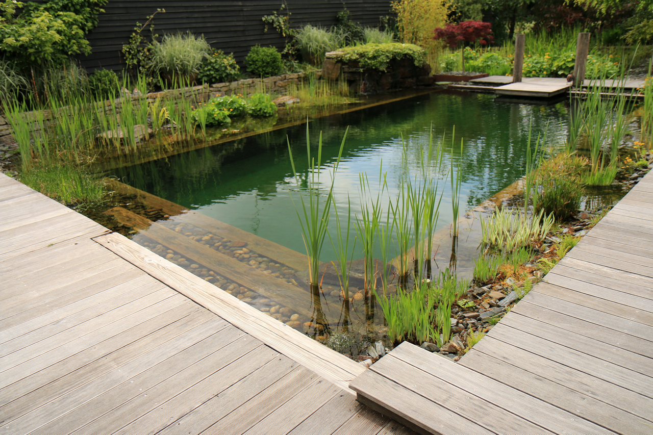Piscine naturelle : coût d’entretien, aspect écologique et sécurité (1/ ...