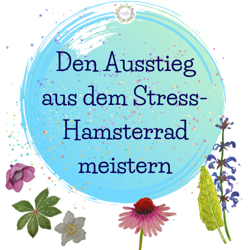 Den Ausstieg aus dem Stress-Hamsterrad meistern - Frauenkreis ...