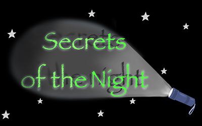 Secrets of the Night - Jugendliche erobern die Nacht - Blog des ...