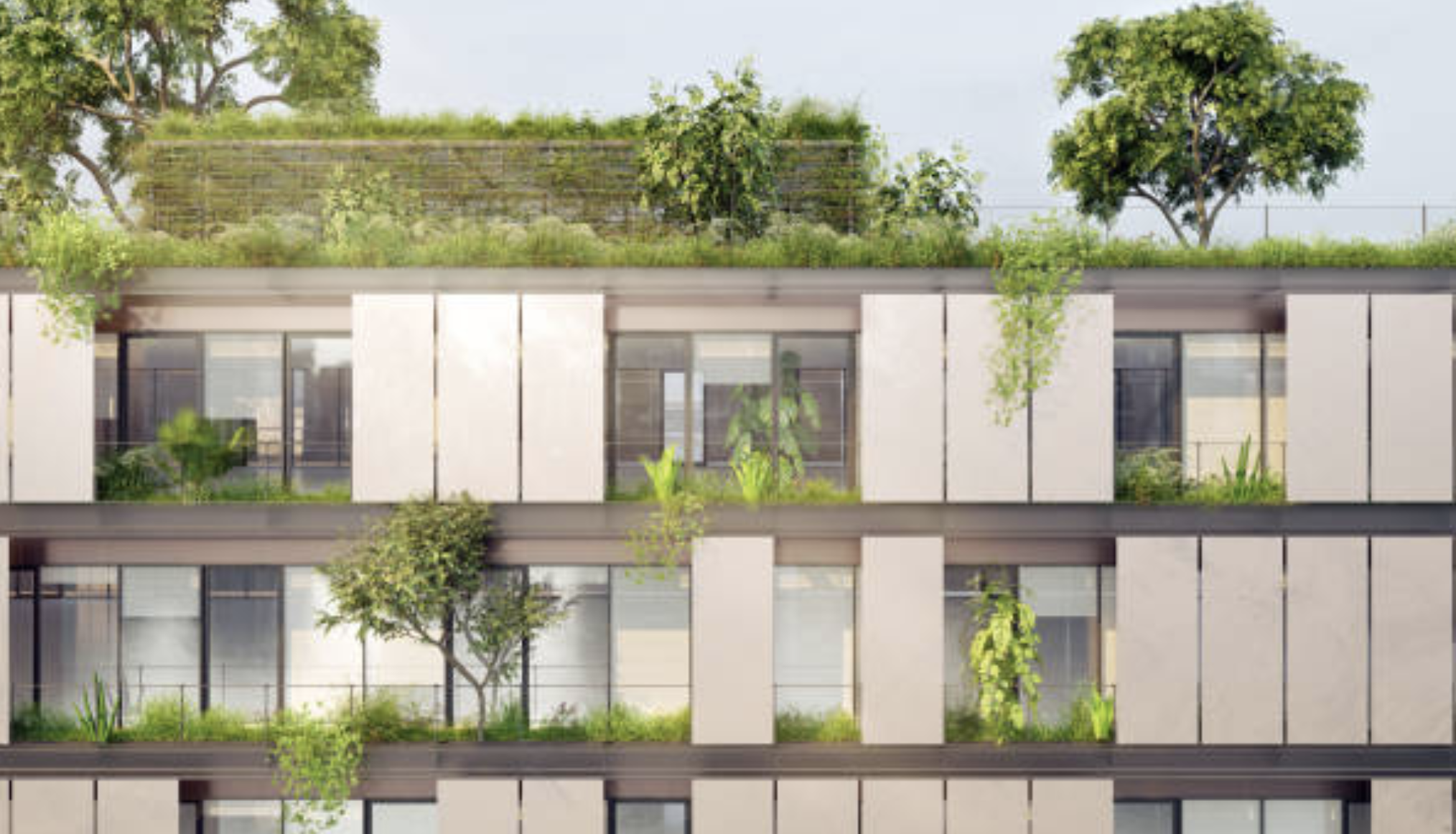 Design - Ypsum Concept