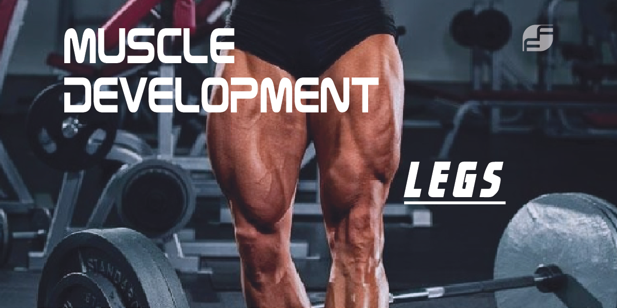 Muscle Development: Legs - Fausey's Fitness