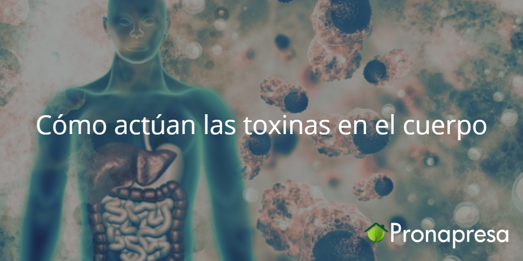 Cómo actúan las toxinas en el cuerpo - Pronapresa