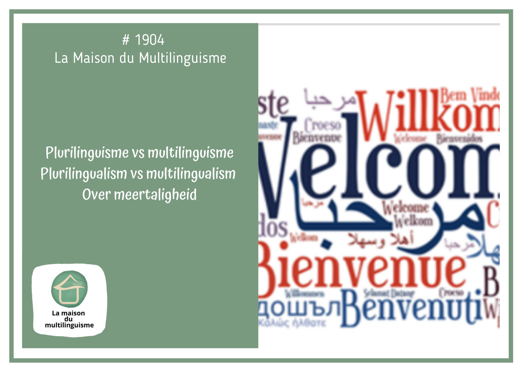 Plurilinguisme vs multilinguisme / Plurilingualism vs multilingualism ...