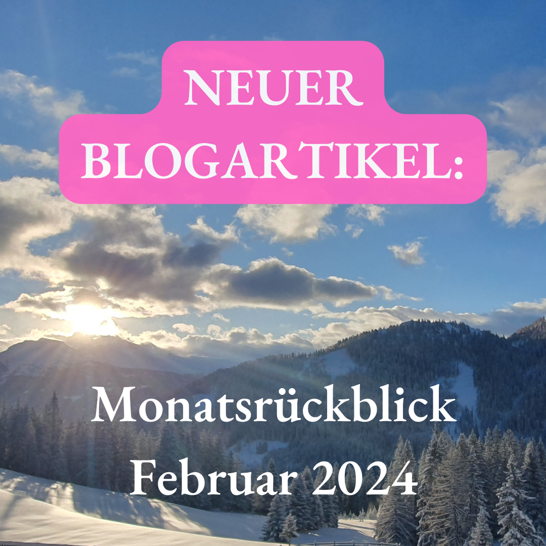 Februar 2024 Rückblick - Sina Emrich Soul IN Art