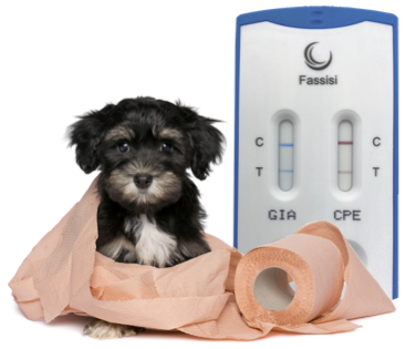 Fassisi GiarDia + CPE: The diagnostic duo for more certainty in ...