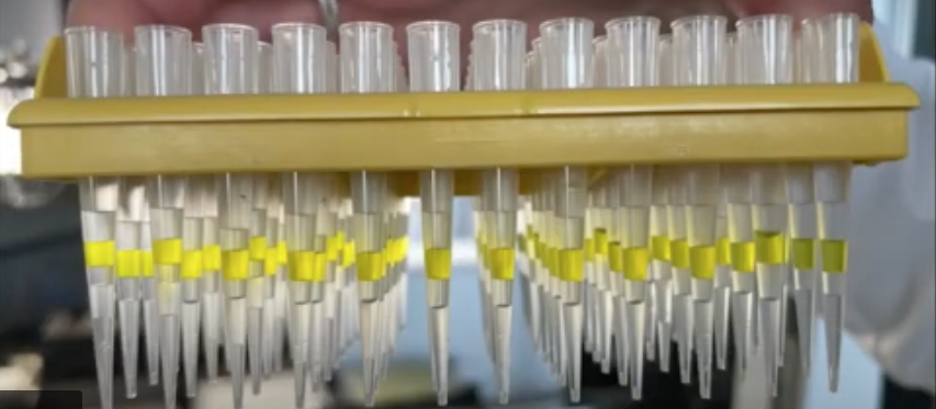 Automating the Sample Preparation of Protein Digests on Biomek i7 using ...