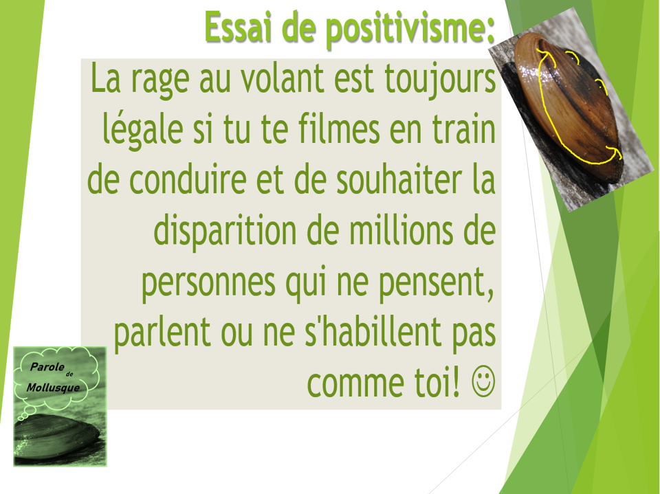 ESSAIS DE POSITIVISME - Parole de Mollusque