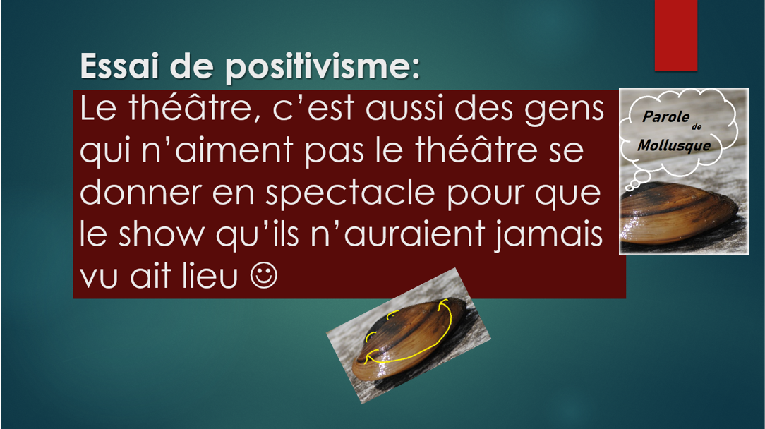 ESSAIS DE POSITIVISME - Parole de Mollusque