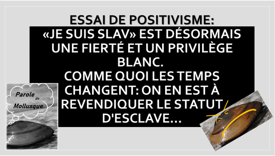 ESSAIS DE POSITIVISME - Parole de Mollusque