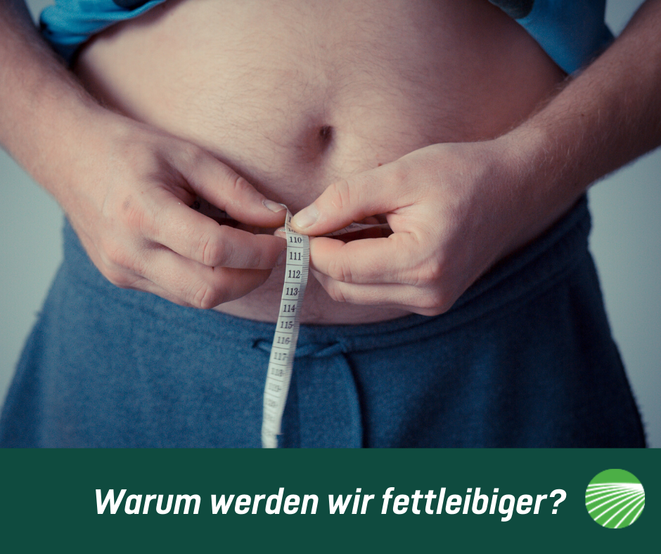 Warum werden wir immer fettleibiger? - Lorenzen Training in Hamburg ...