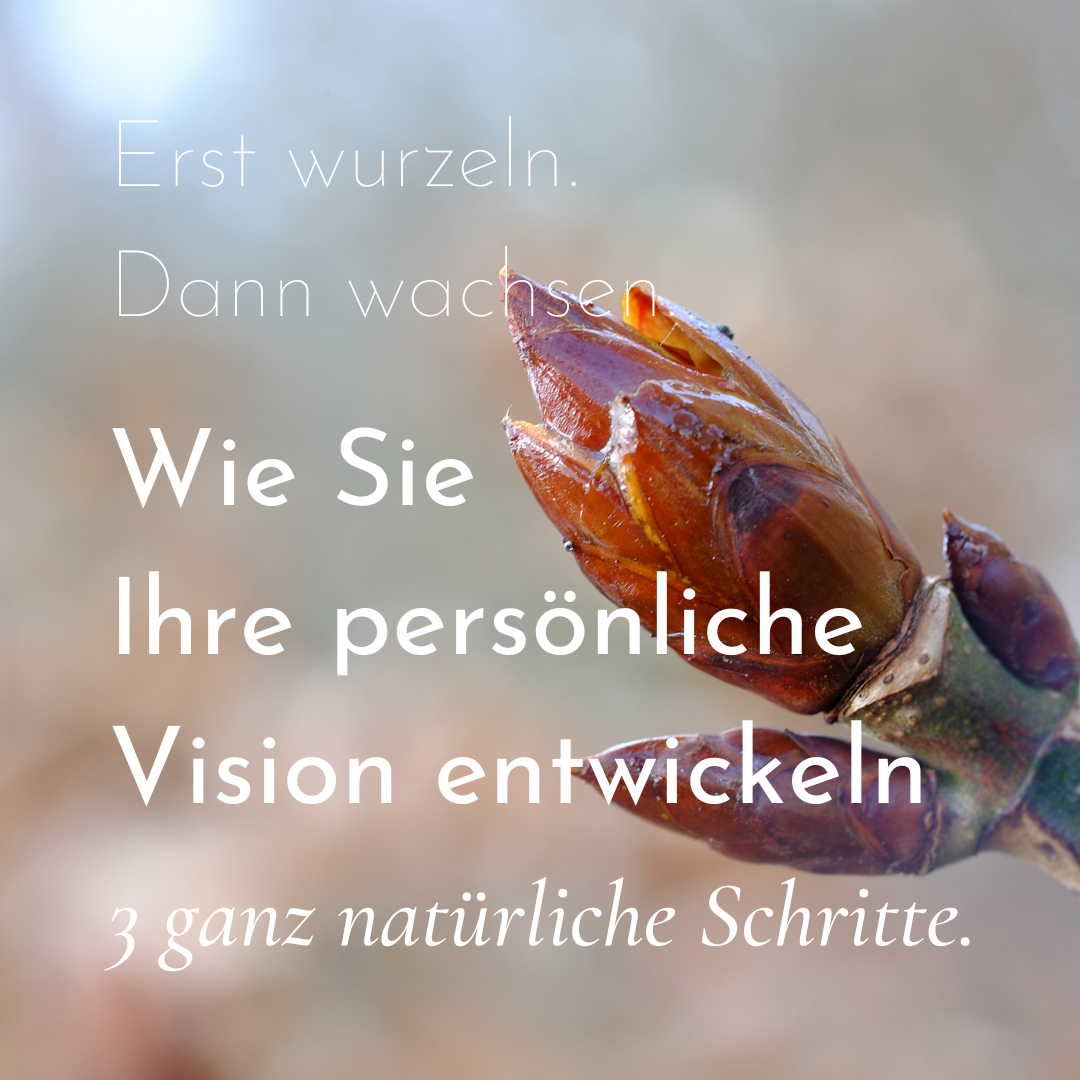Entwicklung Einer Vision _ Visionen Entwickeln Beispiele – VNUMS