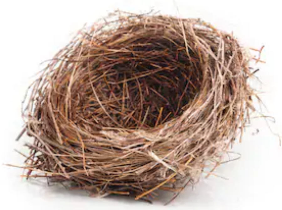 I vari tipi di policistosi ovarica - Primal Osteopathy. Test posturale ...