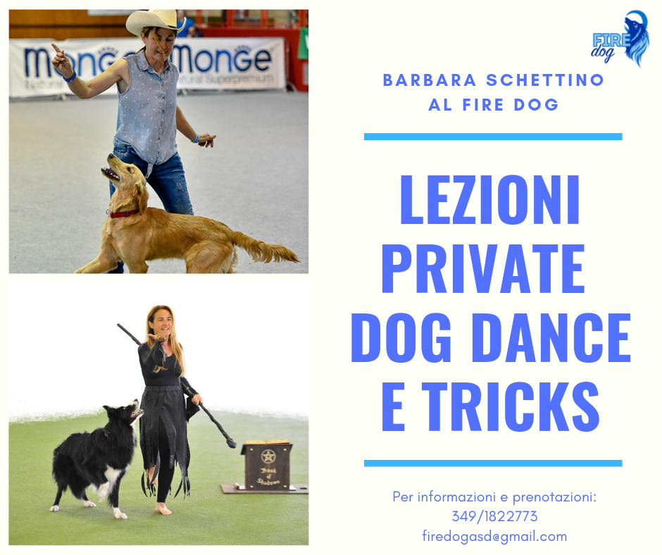 Lezioni di dog dance e tricks - Centro Cinofilo Como e Saronno