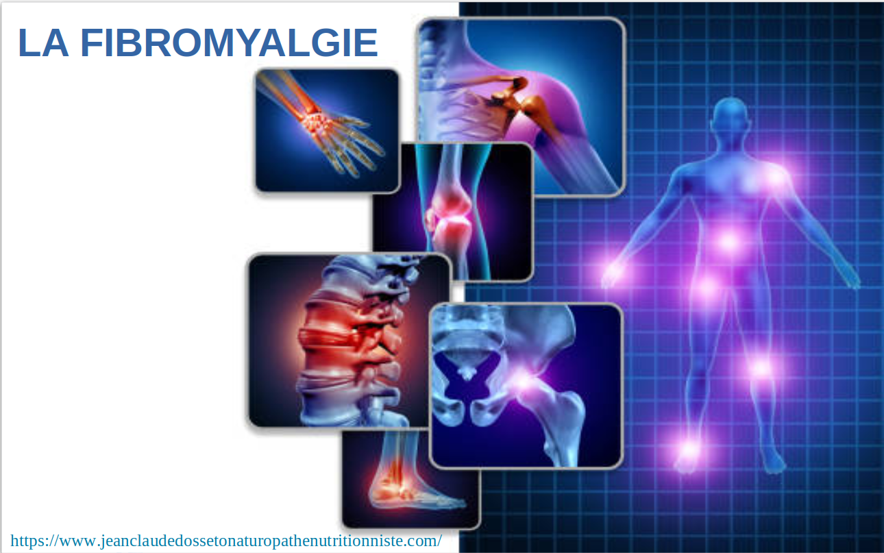 La Fibromyalgie - naturopathemarseillejc-dosseto