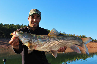 Les 3B ou Brochet, Black-Bass et Barbeau - the french fishing guide
