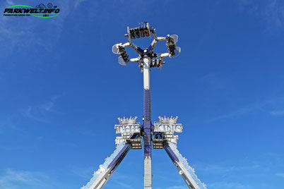 Infinity - Hoefnagels - Infos, Bilder & Technische Daten zum ...