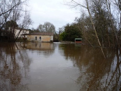 La Saye, site classé Natura 2000 - Office de Tourisme du Fronsadais