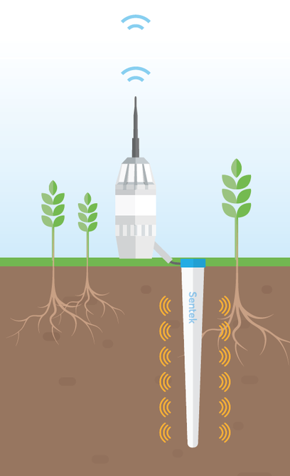 Sonde capacitive Sentek Drill & Drop + All in One - Agralis Services