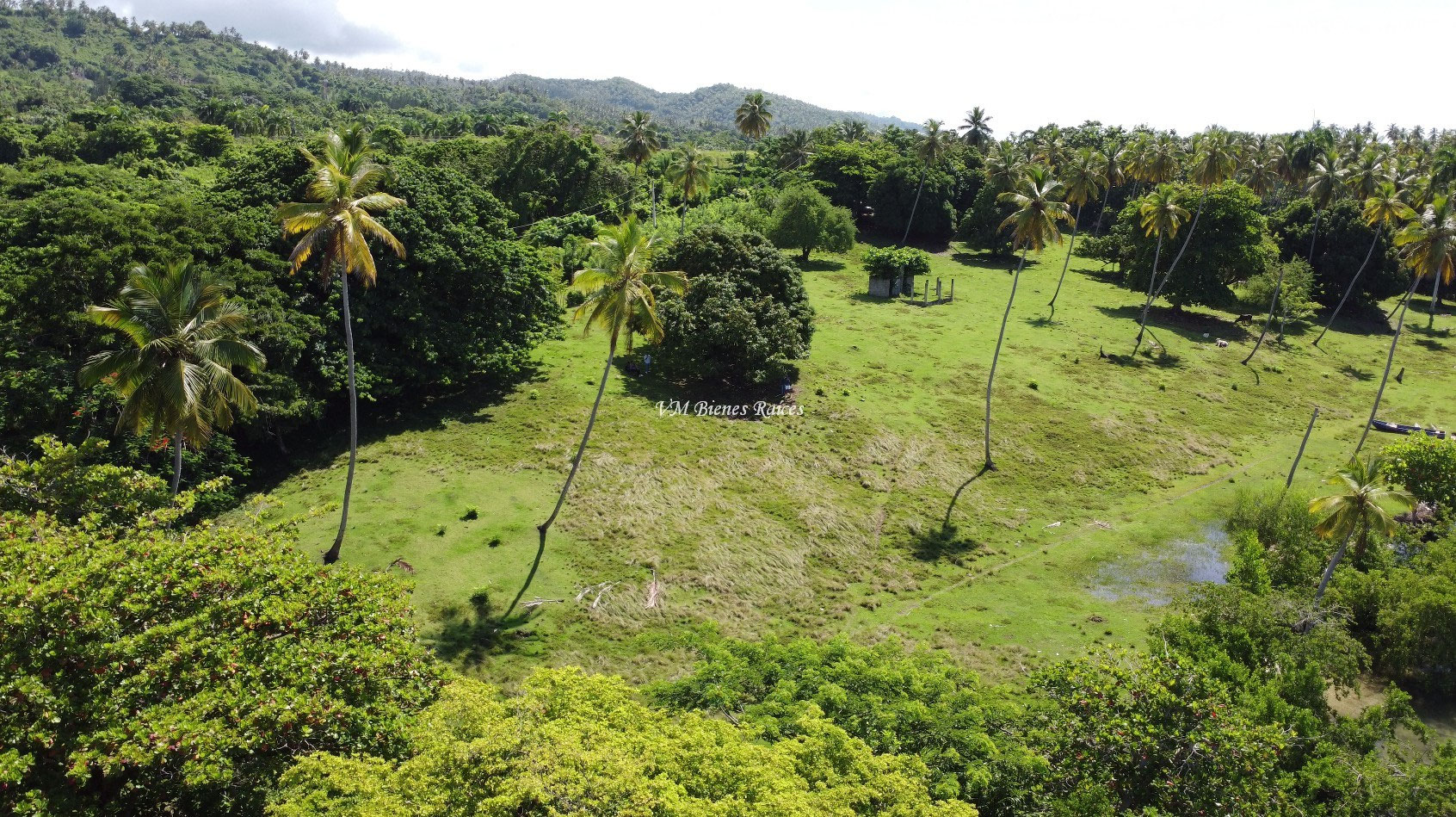 Terreno Arroyo Barril-Samana - Bienes Raíces en la República Dominicana