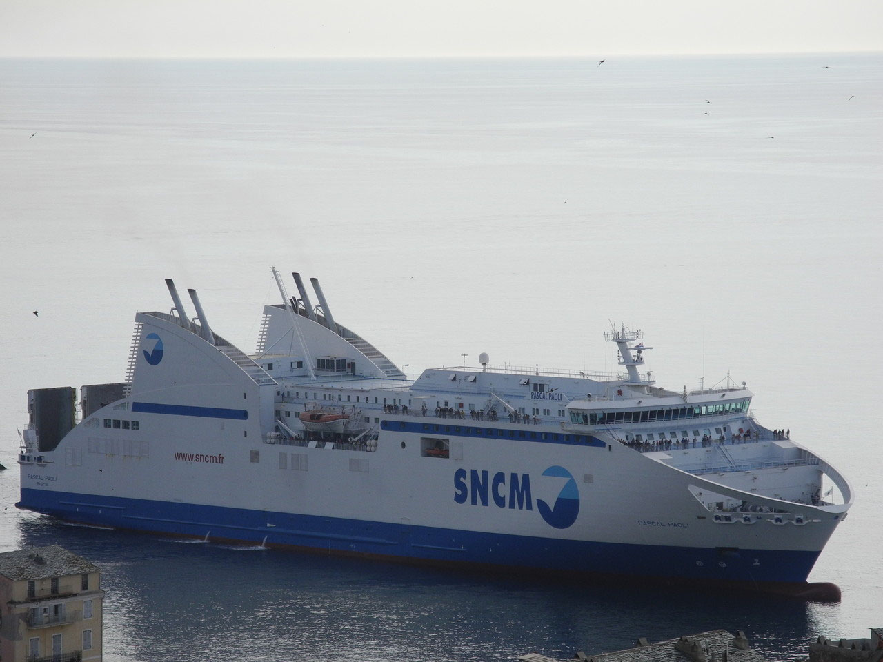 PASCAL PAOLI - Corsica Battelli