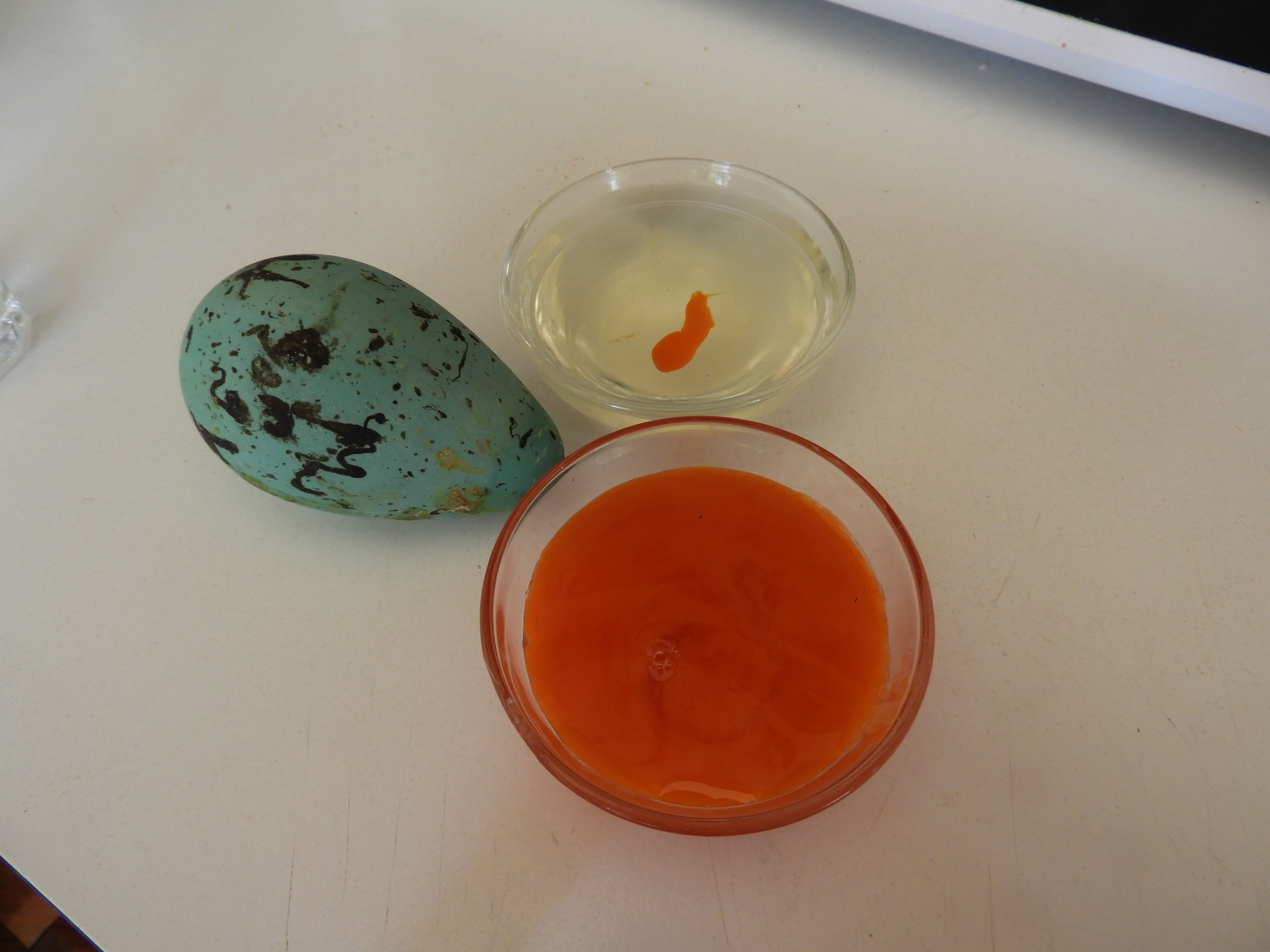 Blind sampling Safnad i blindni - ingridmostreys Webseite!