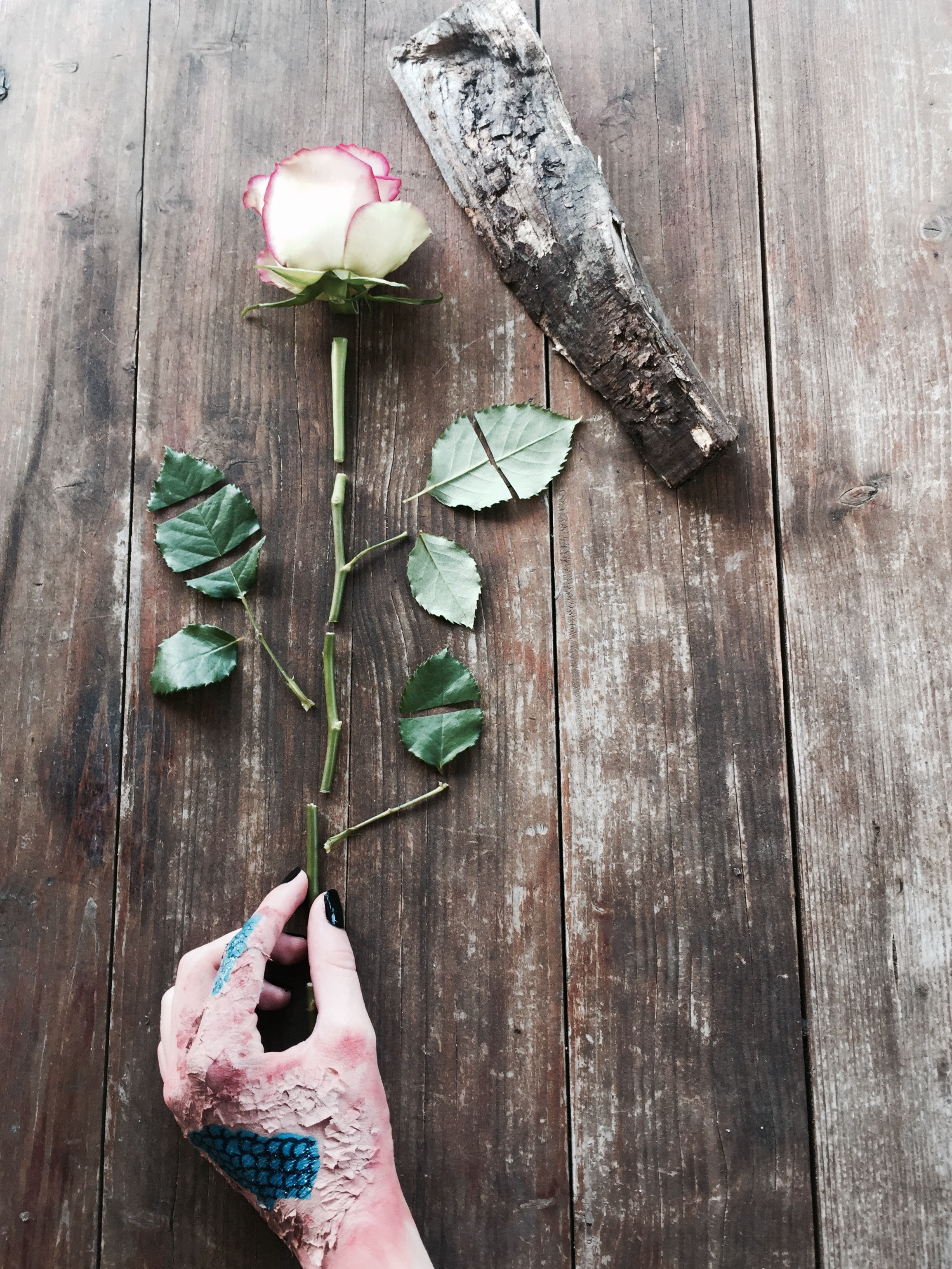 That's me - Cataleya Clarice – Art & Photography