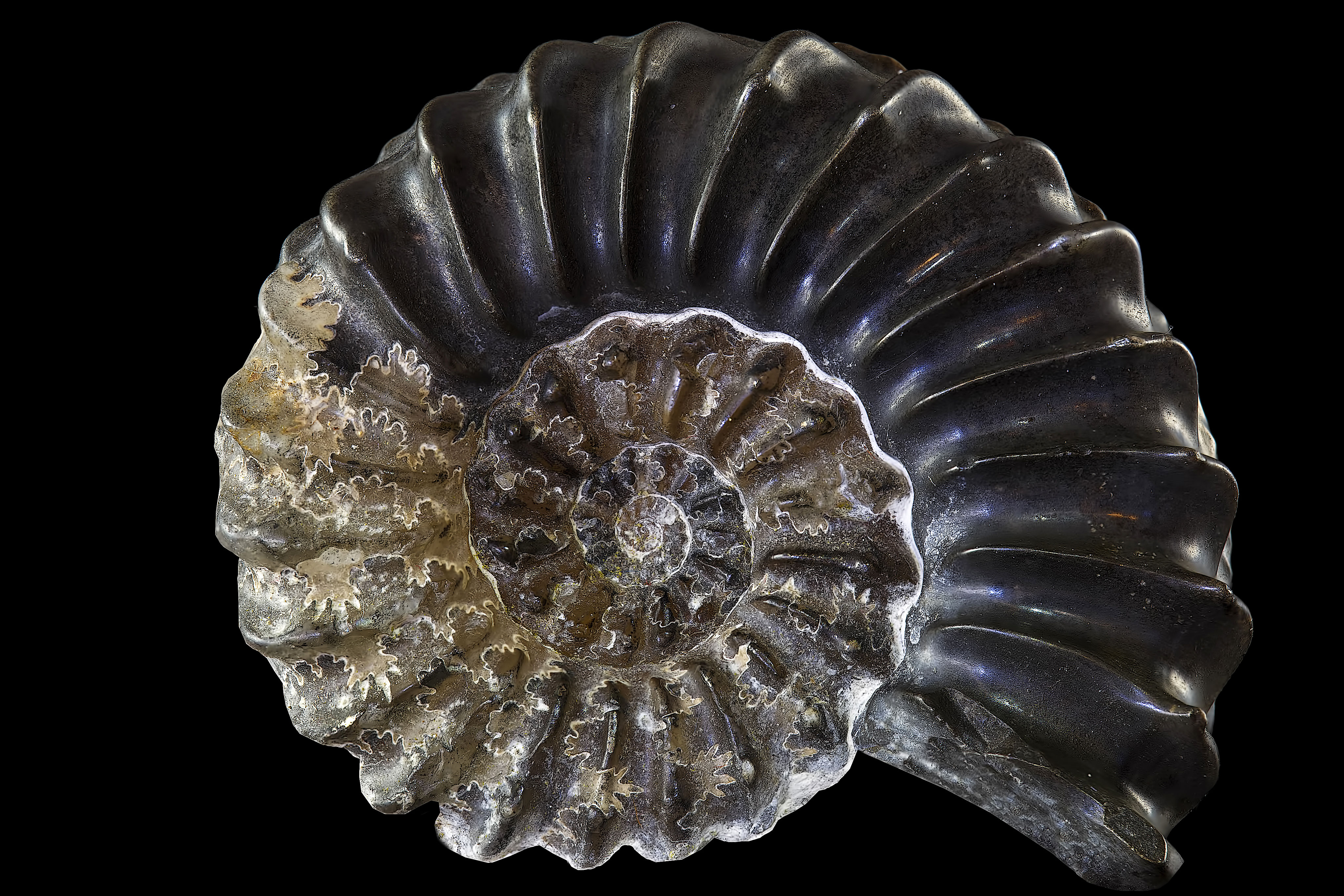 Mineralien & Fossilien - fotografiebleidicks Webseite!