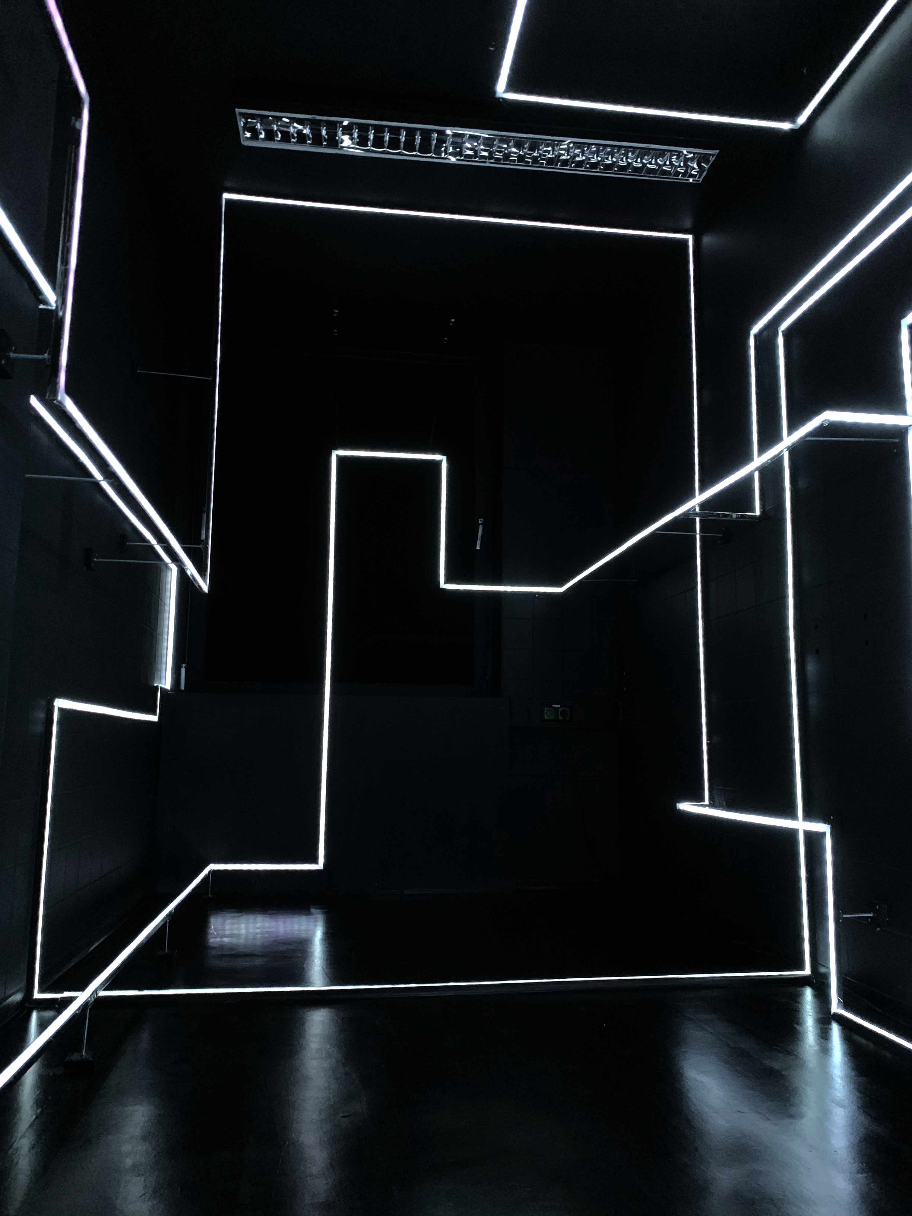 Celia Meissner - Die Bunten e.V. - Verein zur Förderung der Graffiti Kultur