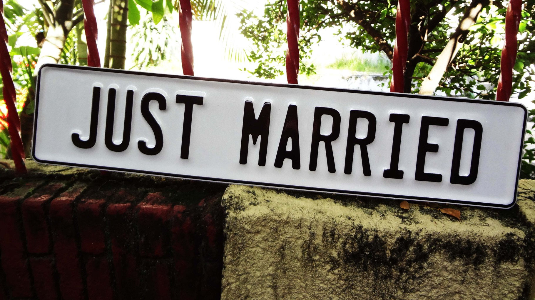 Random Plates Designs - SOUQ Custom Plates