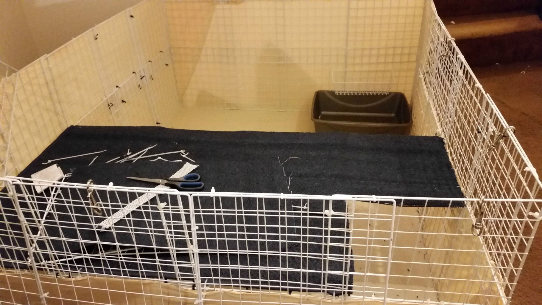 A Gallery of Homes! - huntsvillefriendsofrabbits