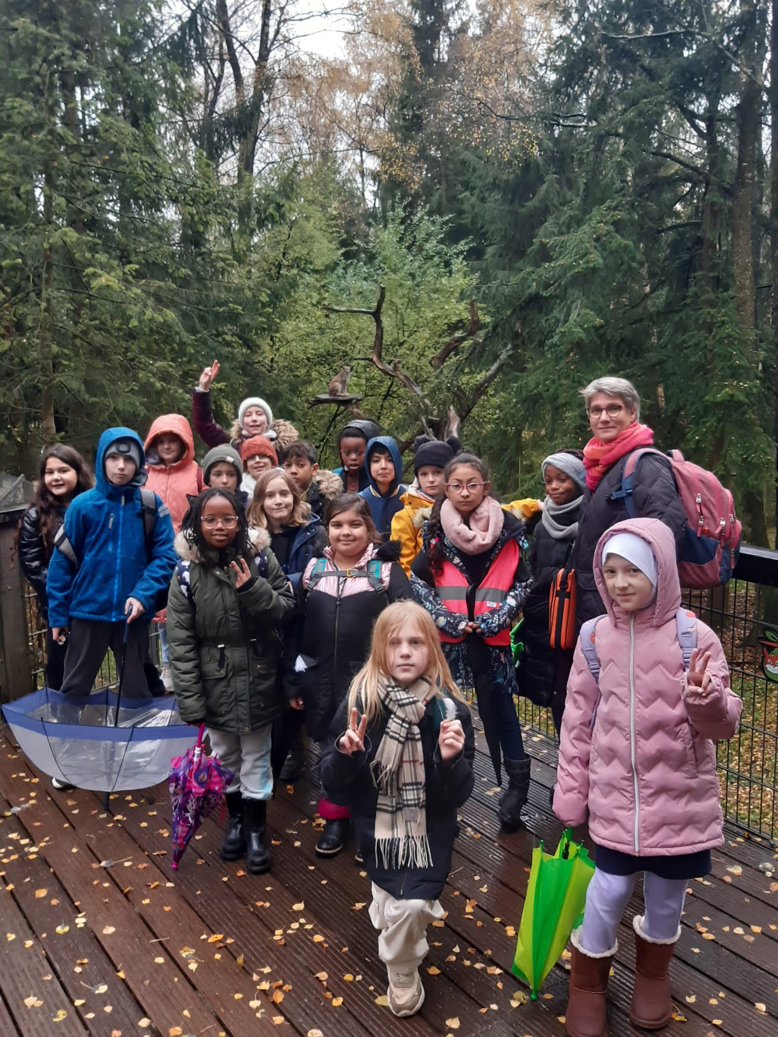 Abenteuer Wildpark Schwarze Berge - NestWerk-Projekt Los geht's Website