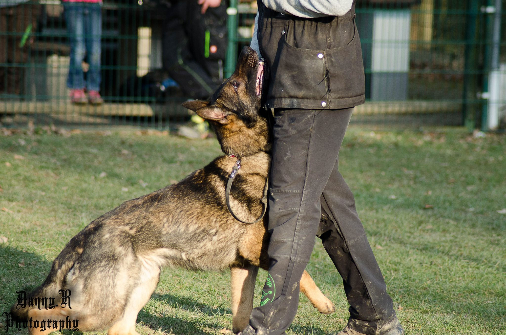 Was ist IGP Hundesport? - SV OG Gummersbach