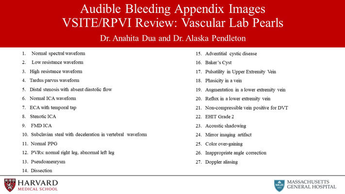 VSITE/RPVI Review: Vascular Lab - Audible Bleeding: The Vascular ...