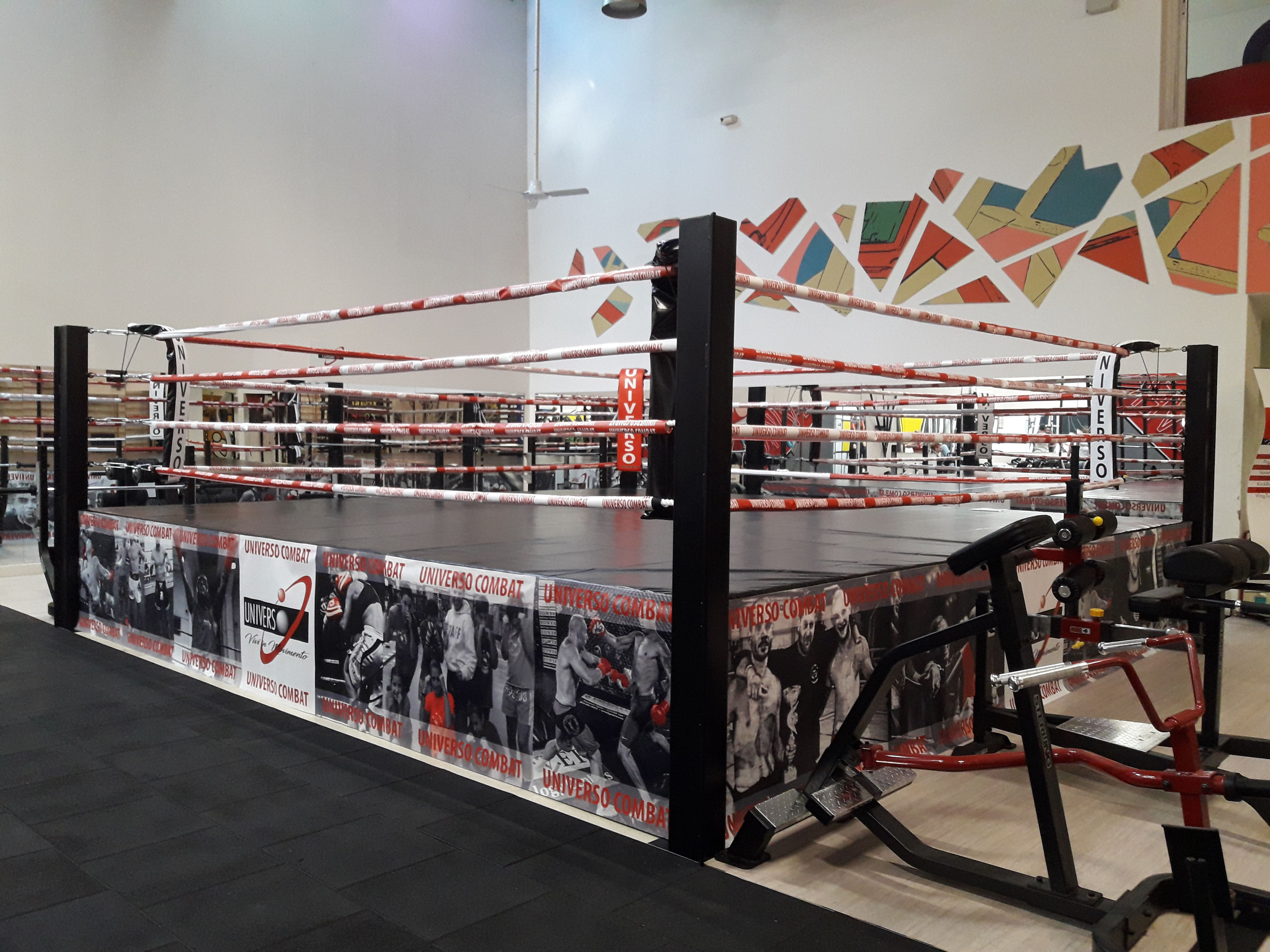 Ring da competizione - RDC - VENDITA RING DA BOXE, MUAY THAI, GABBIE ...