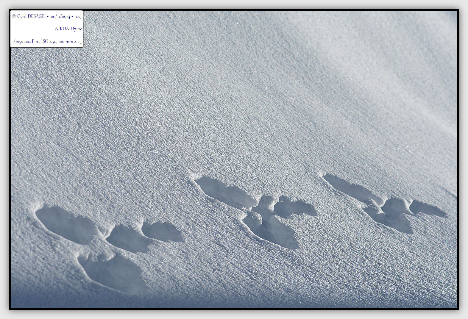Traces - Site de le monde d'en haut