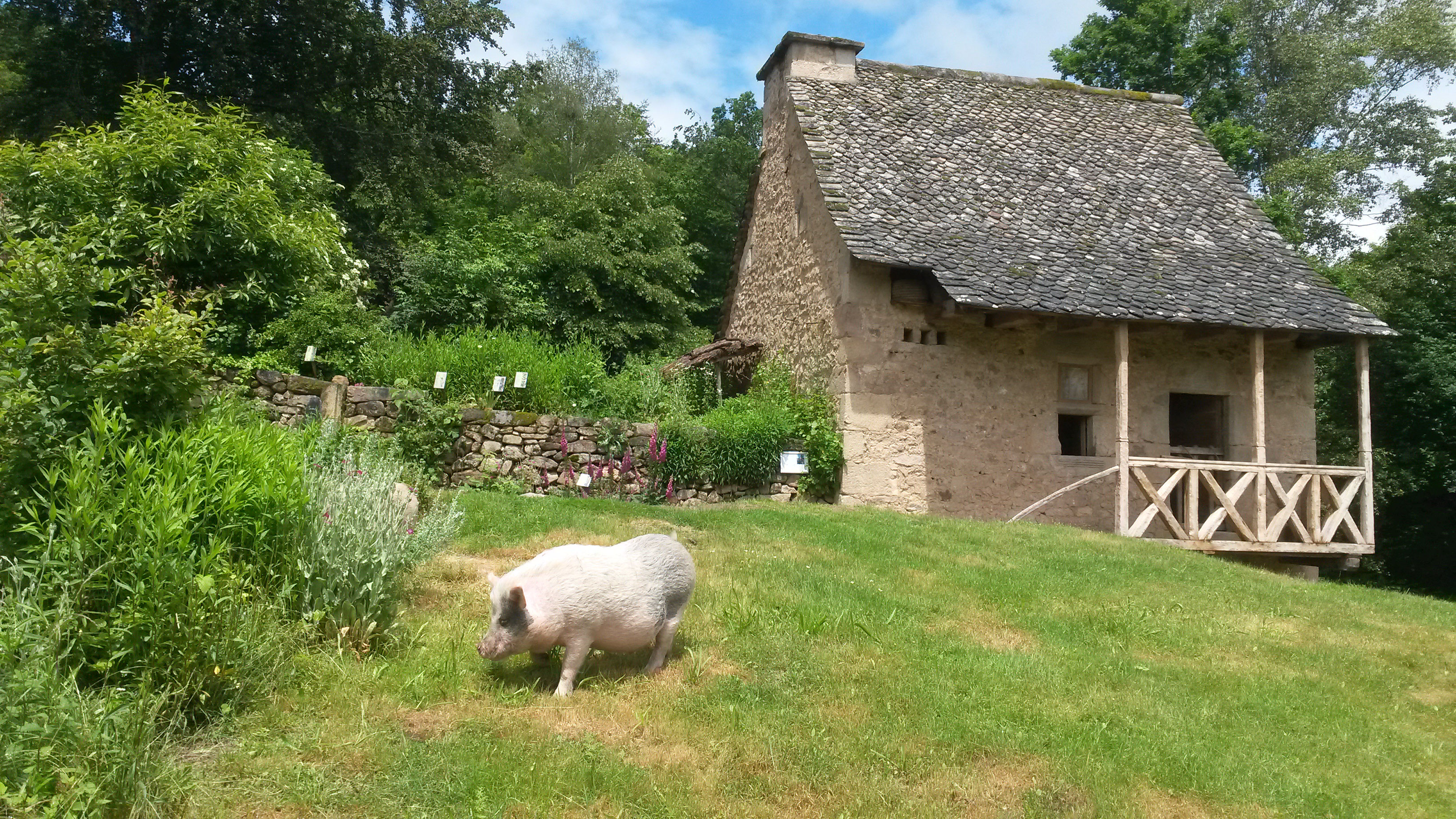 Le village médiéval - Les Fermes du Moyen Age de Xaintrie