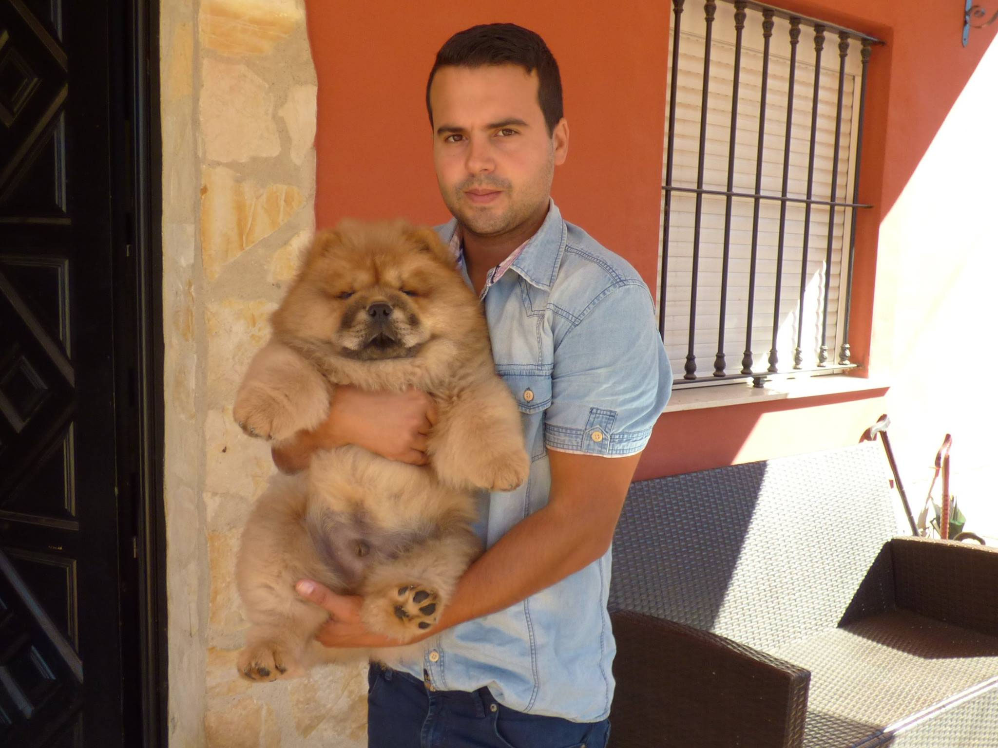 Quienes somos: - Criador chow chow España Chow chow Valencia