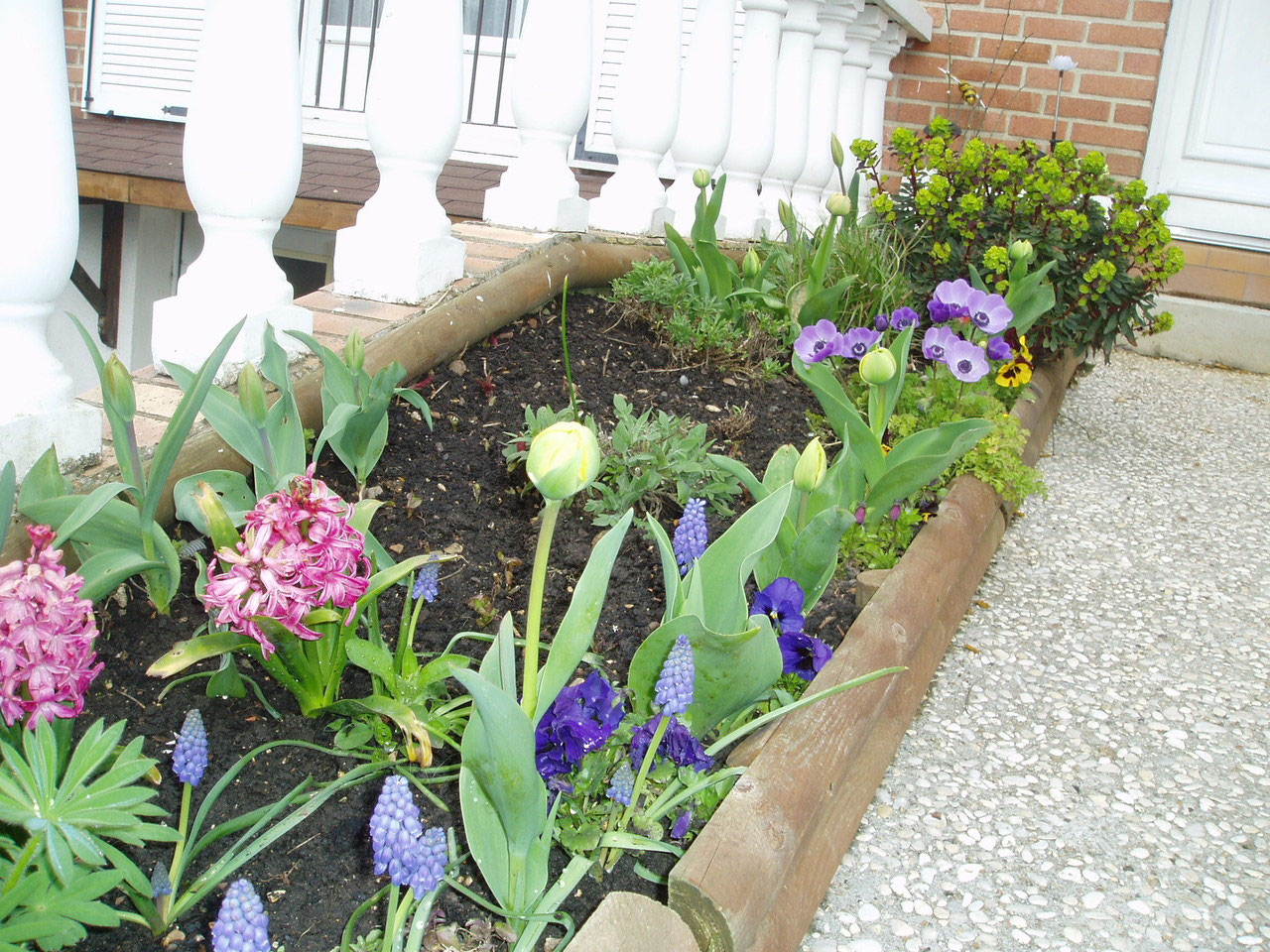 * MON JARDIN * - LIBRES EXPRESSIONS