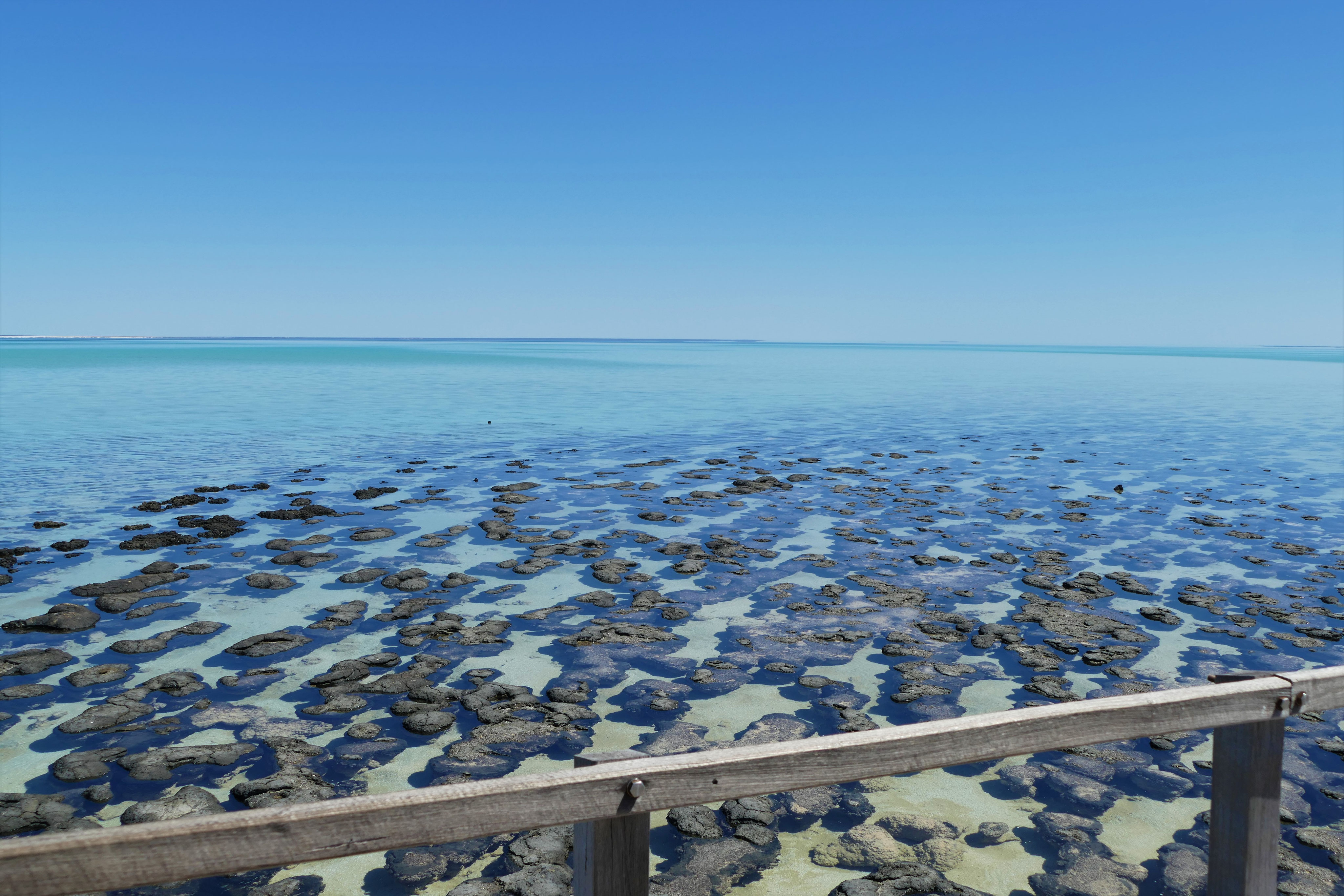 6 WA_Shark Bay - Perth - umdiekugels Jimdo-Page!