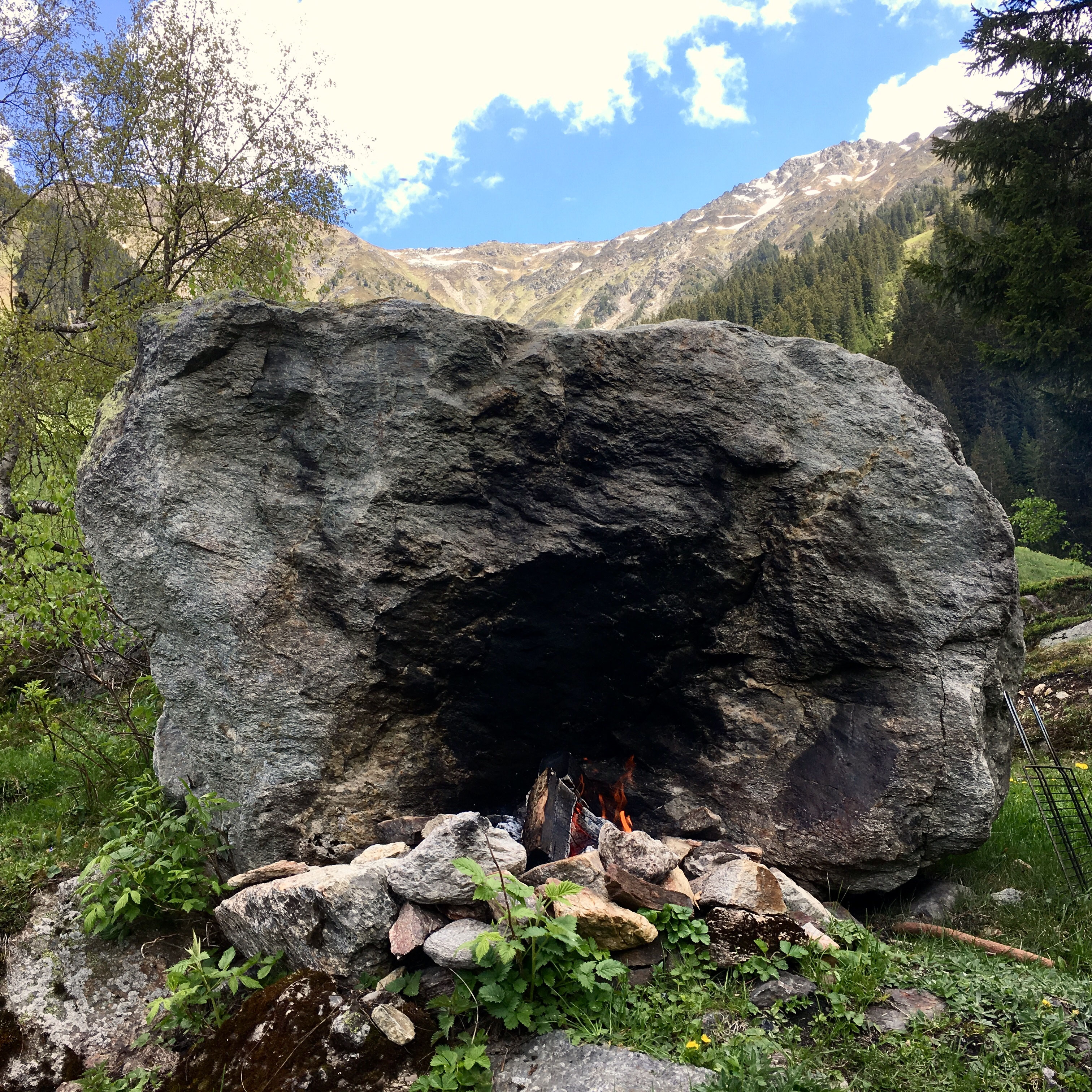 Fezi Facts - fezi-maiensaesss Webseite!