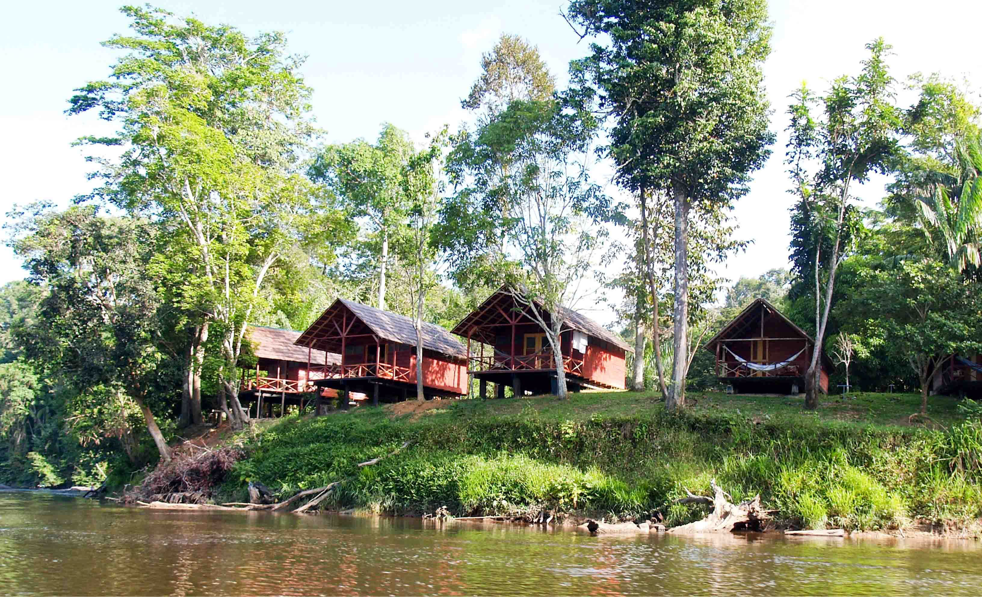 Awarradam Jungle Resort - Suri-tours: tours voor een onvergetellijke ... Awarradam Jungle Resort - Suri-tours: tours voor een onvergetellijke ...