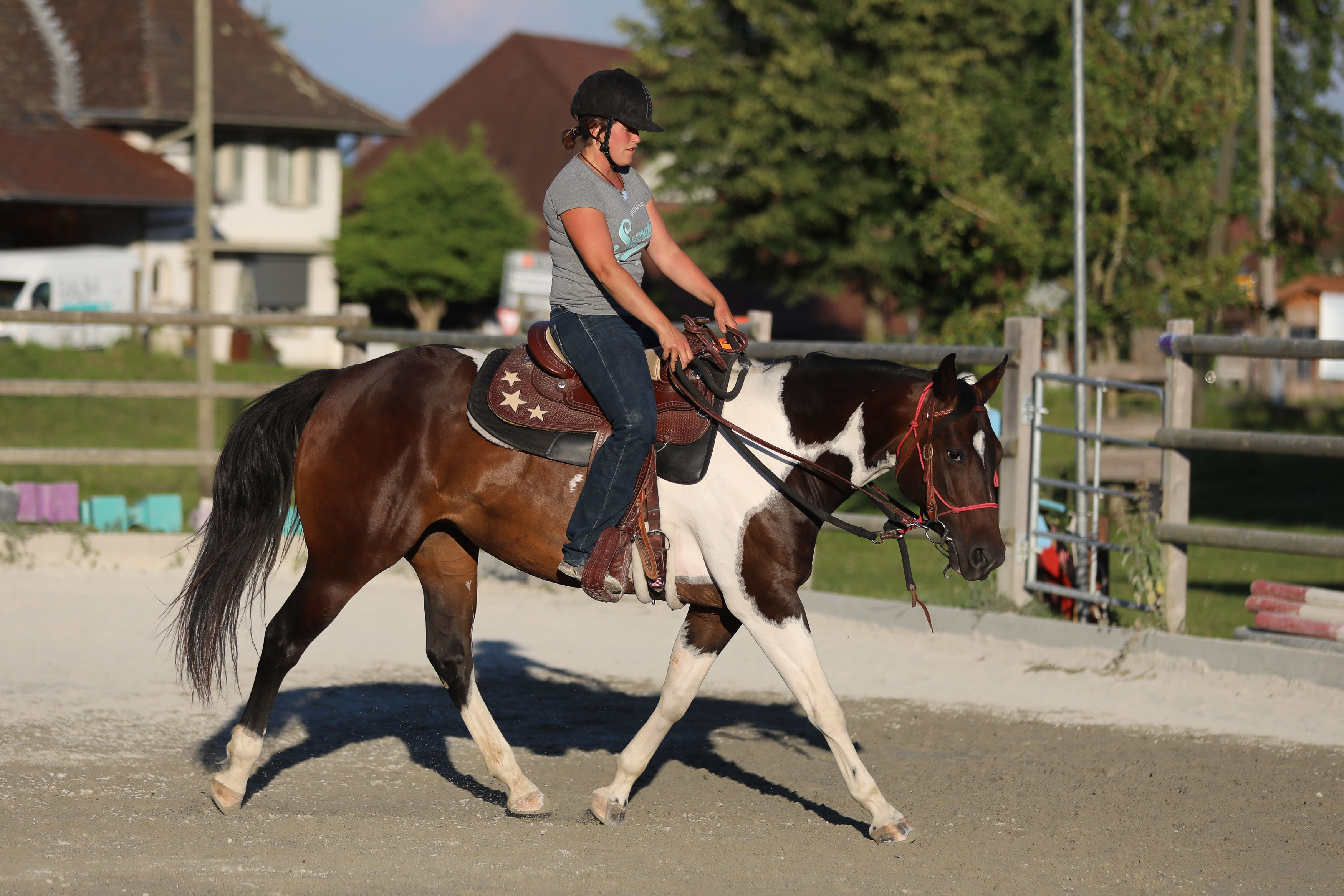 Grundausbildung - sr-westerntraining - Westernreiten in Bern