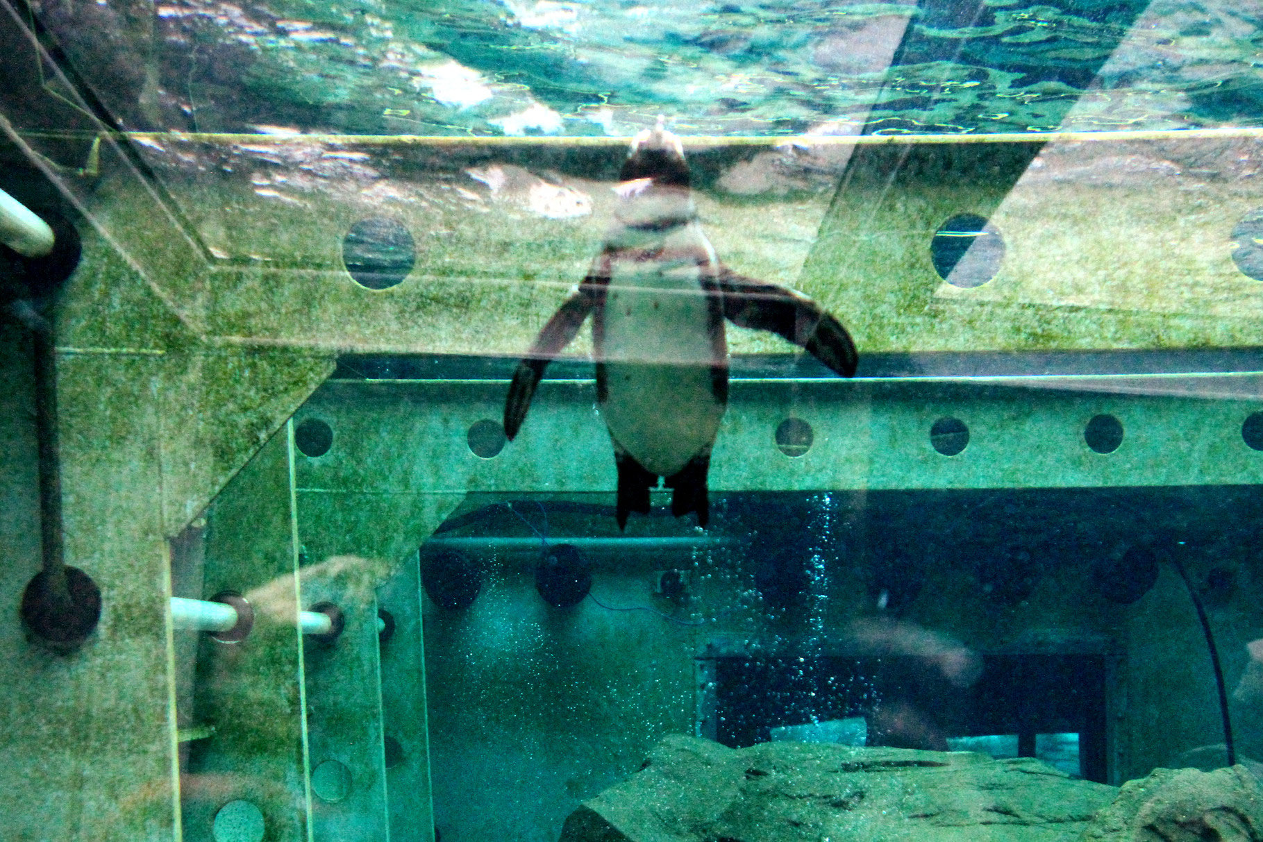 Tier/Zoo - photography-for-life.jimdo.com