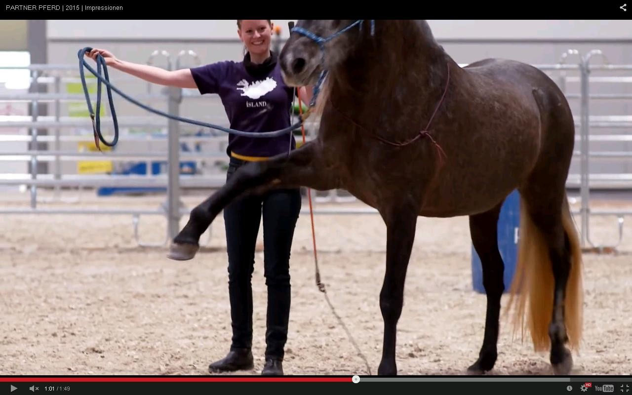 Über mich*um mig - vickyls Webseite!